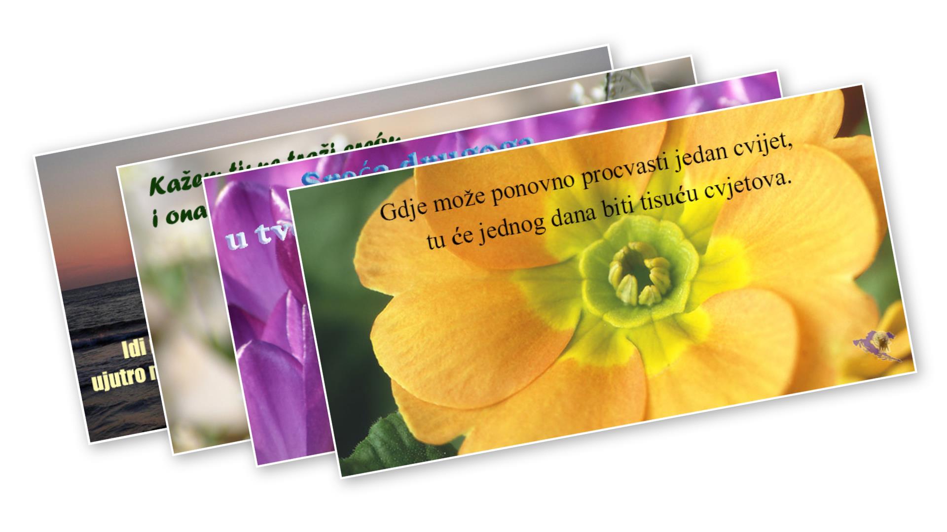 Savez bez imena