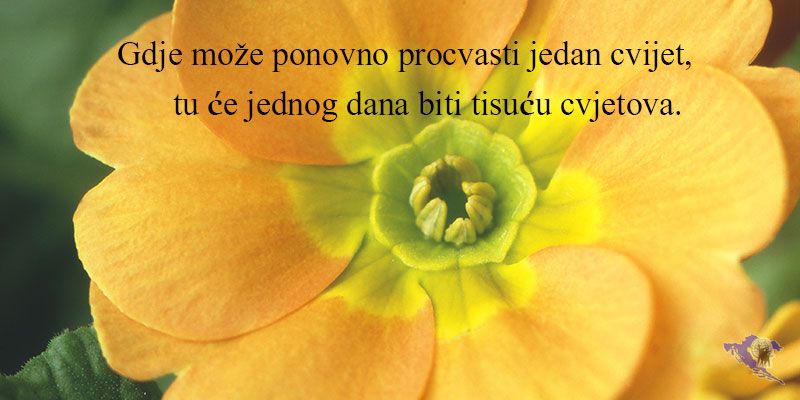 Savez bez imena